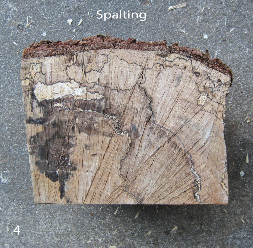 Wood Species - Types of Turning Wood - Van Duyn Woodwork