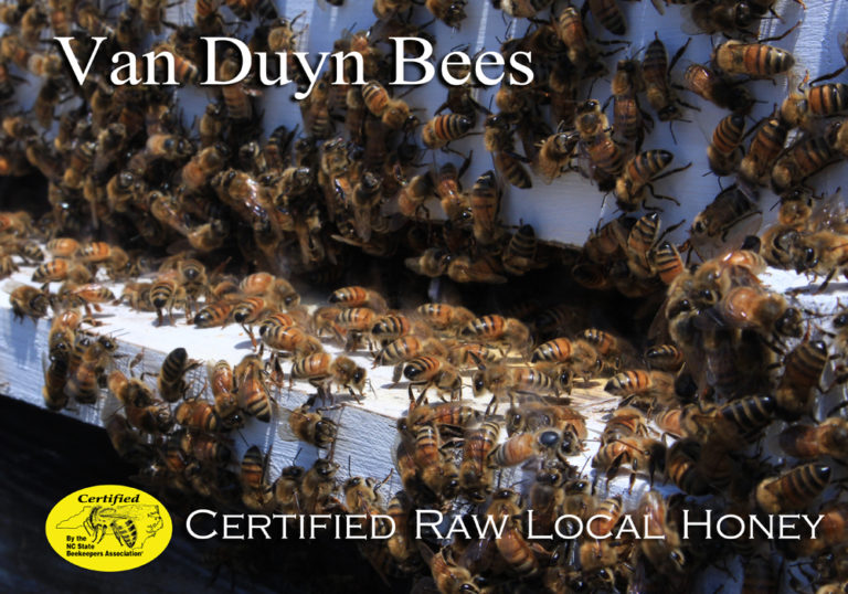 Raw Local Honey - Raleigh, North Carolina - Certified - Van Duyn Bees